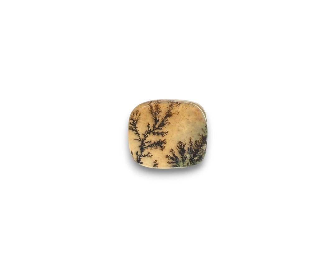Scenic Dendritic Agate Cabochon: Landscape Picture Stone (12.1 X 10.7 X ...