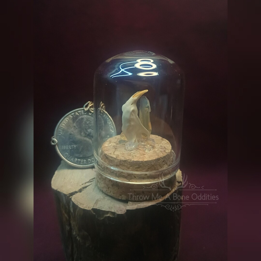 Mouse Jaw Bone and Ethiopian Opal - Etsy