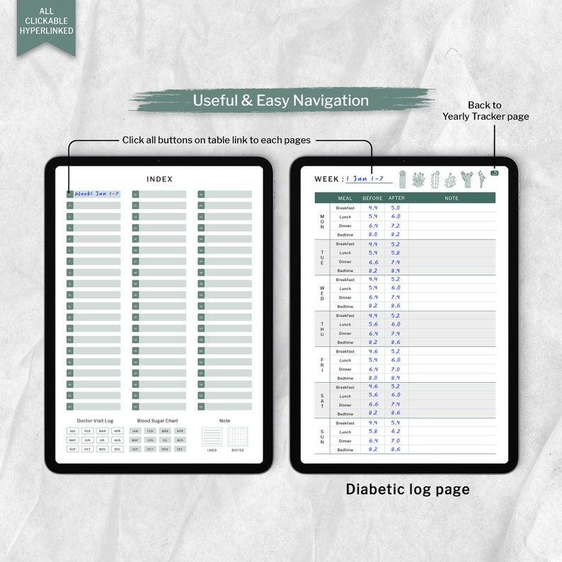 Digital Diabetic Log, Blood Sugar Logbook, Diabetes Tracker, Digital ...