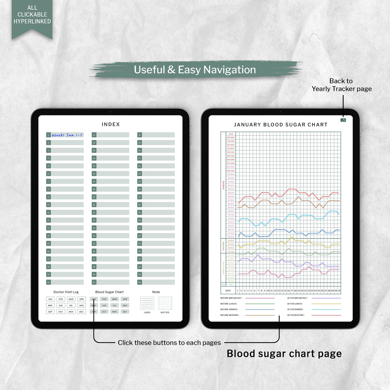 Digital Diabetic Log, Blood Sugar Logbook, Diabetes Tracker, Digital ...