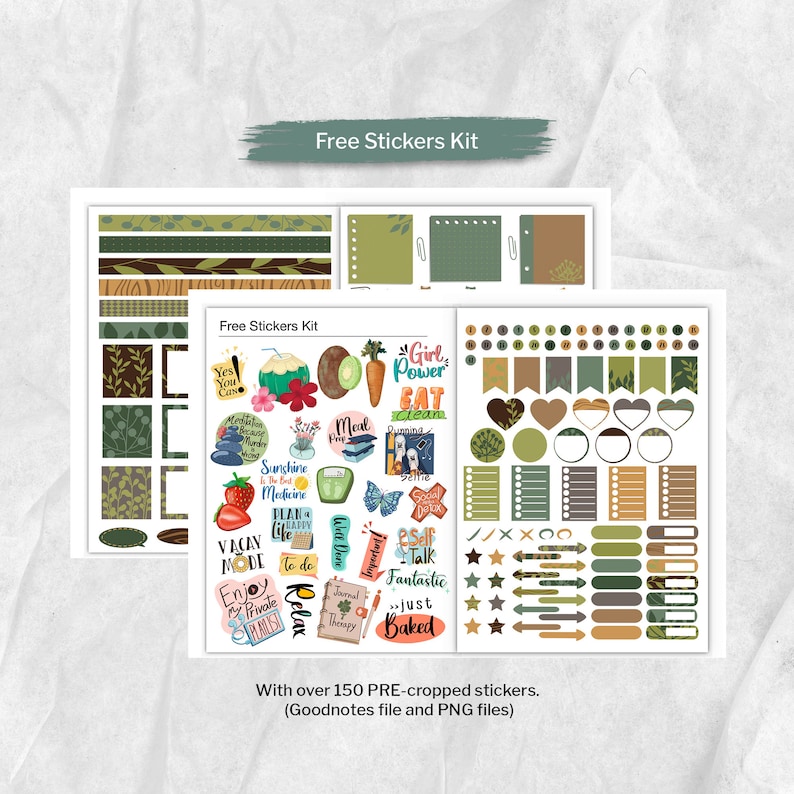 Digital Diabetic Log, Blood Sugar Logbook, Diabetes Tracker, Digital ...