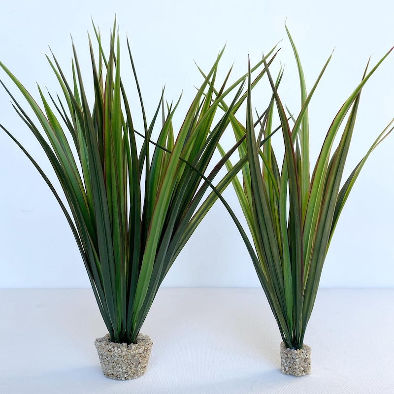 Faux Fish Plant - Etsy