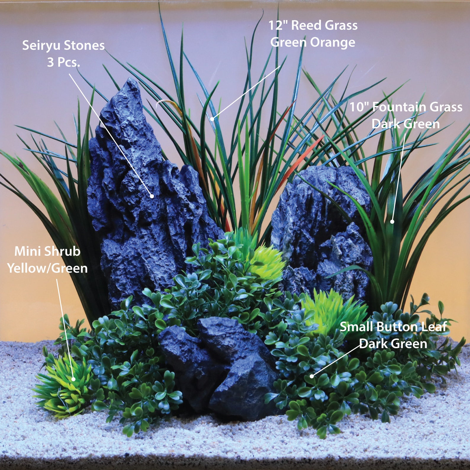 Small Mini Shrub Aquarium Foreground Plant Yellow Green 3 Pack With ...