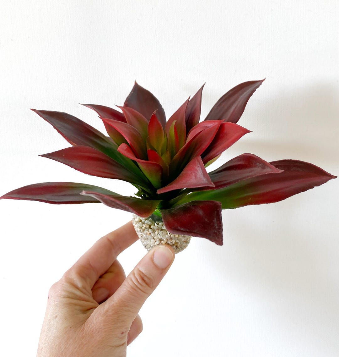 Large Agave Aquarium Decor Plant With Stone Base in Red, Fish Tank ...