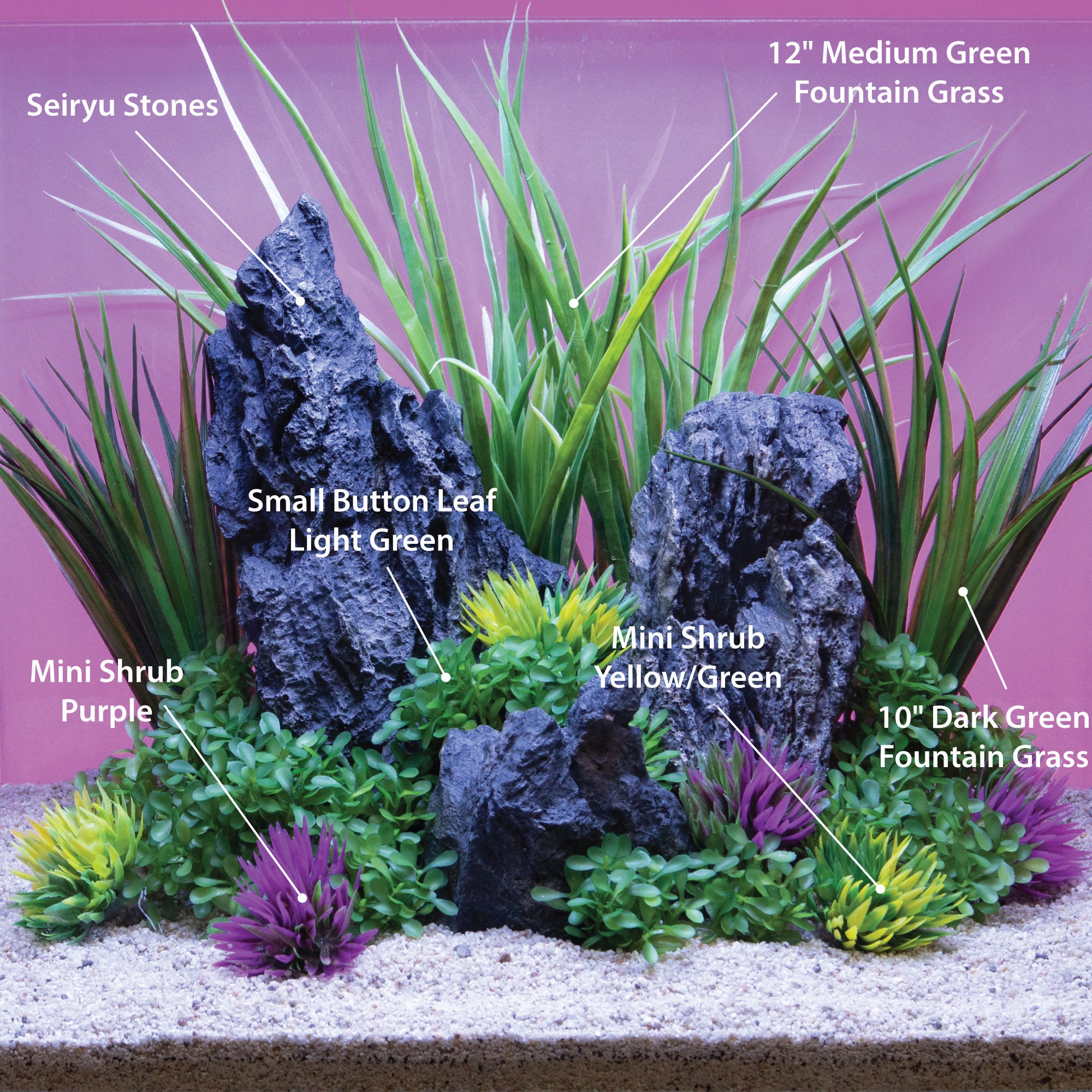 Small Mini Shrub Aquarium Foreground Plant Yellow Green 3 Pack - Etsy