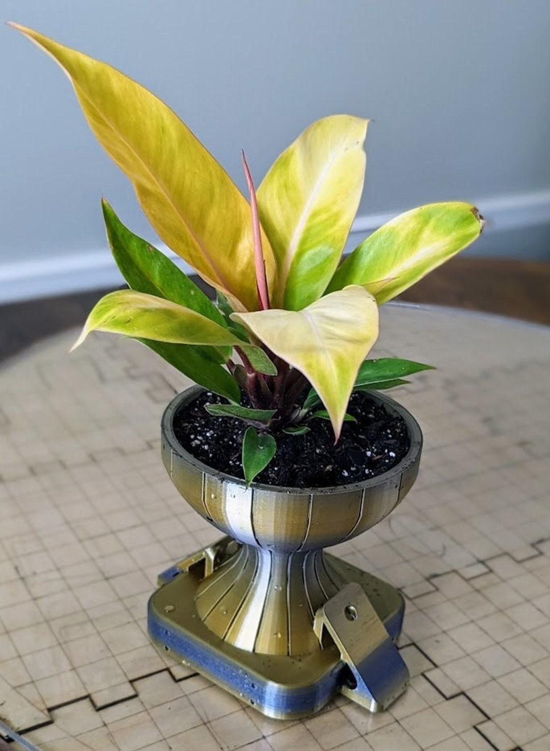 Trophy Planter STL Set - Bean Bag Toss Trophy - Etsy