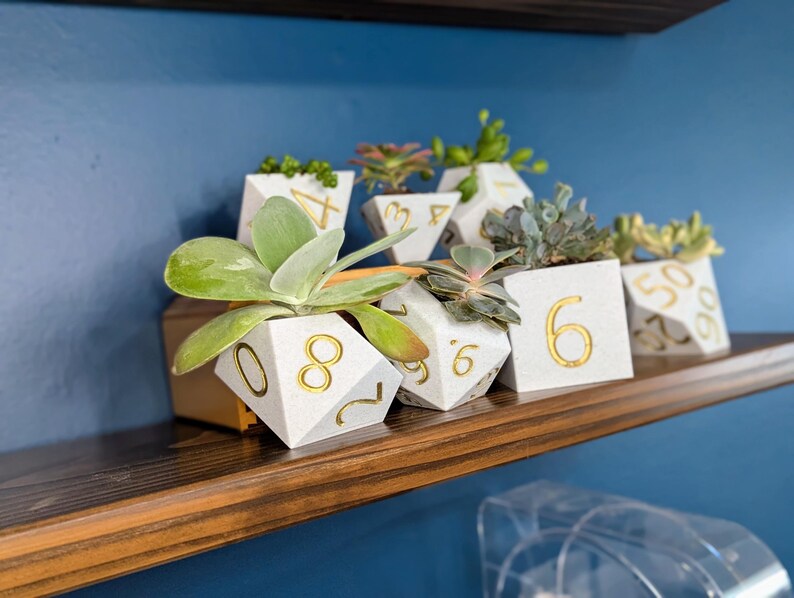 7 Piece Dice - Small Pot Set - 3d Printed - Etsy