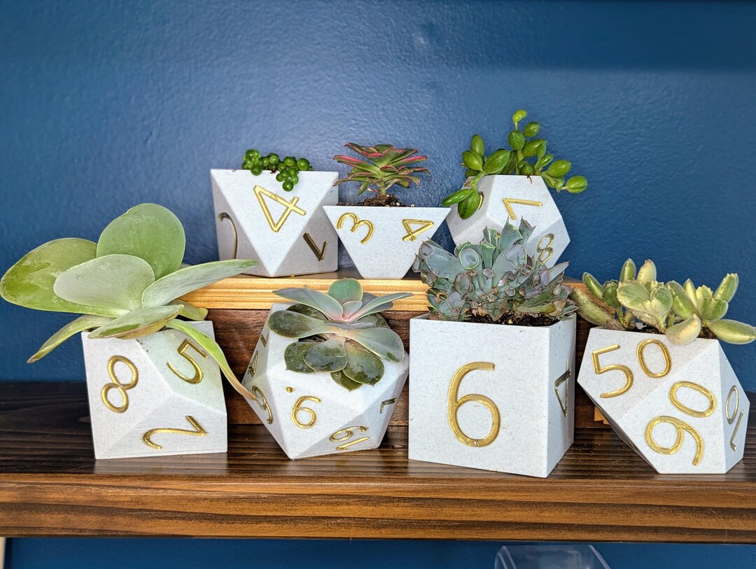 7 Piece Dice - Small Pot Set - 3d Printed - Etsy