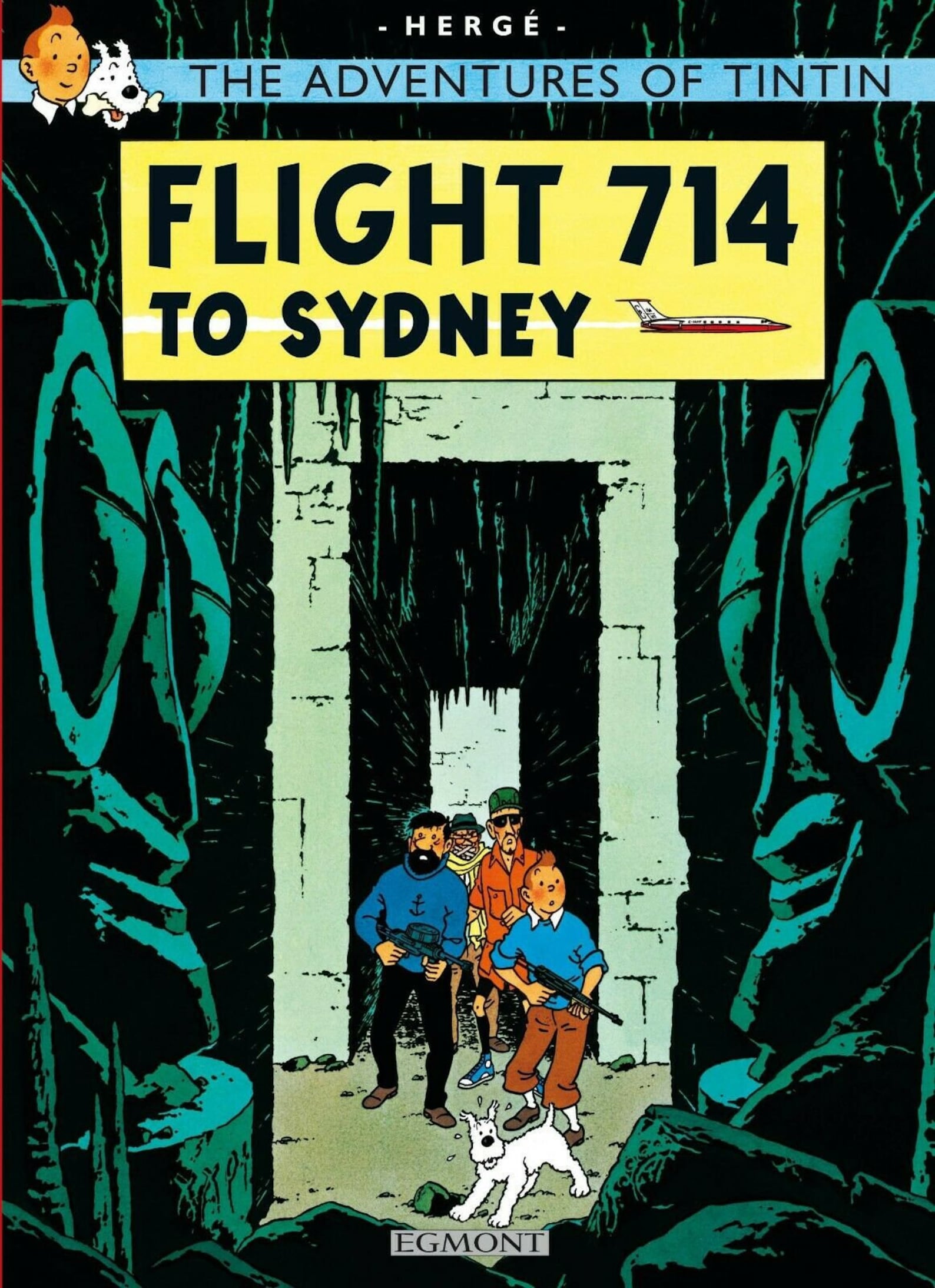 Complete Collection of the Classic 24 Tintin Books on Dvd - Etsy