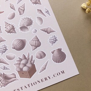 Seashells Sticker Set - Tiny and Bigger Seashells, Journal Stickers ...