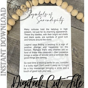 Symbol of Serendipity - Ladybug Ornament, Ladybug Ornament, Ladybug Car ...