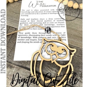 The Wise Educator Owl Ornament, Teacher Ornament, Educator Gift, Car ...