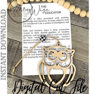 The Wise Educator Owl Ornament, Teacher Ornament, Educator Gift, Car ...
