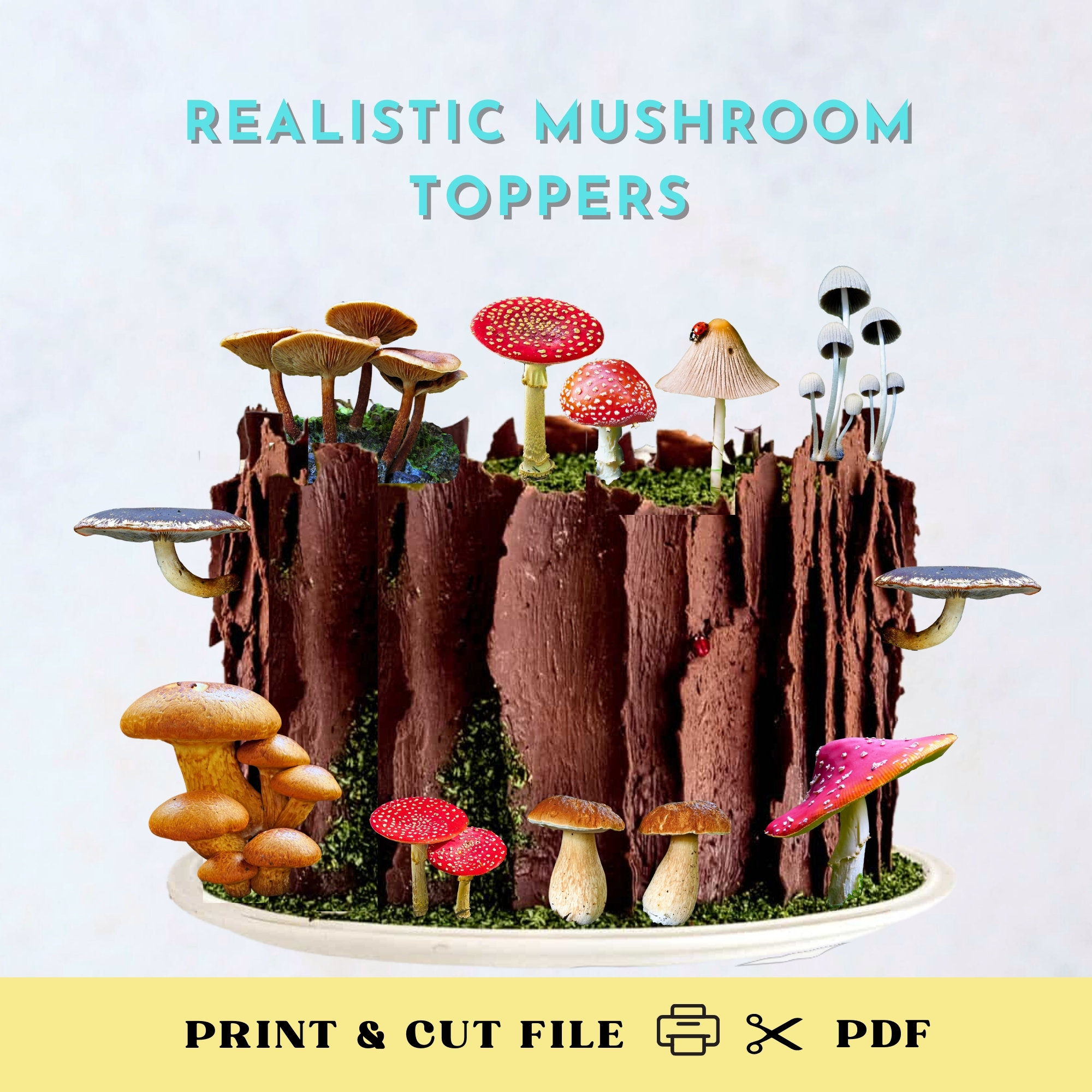 Realistic Mushroom Cake Toppers Woodland Themed Birthday Party | Rustic ...