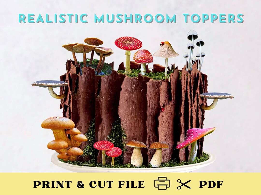Realistic Mushroom Cake Toppers Woodland Themed Birthday Party - Etsy