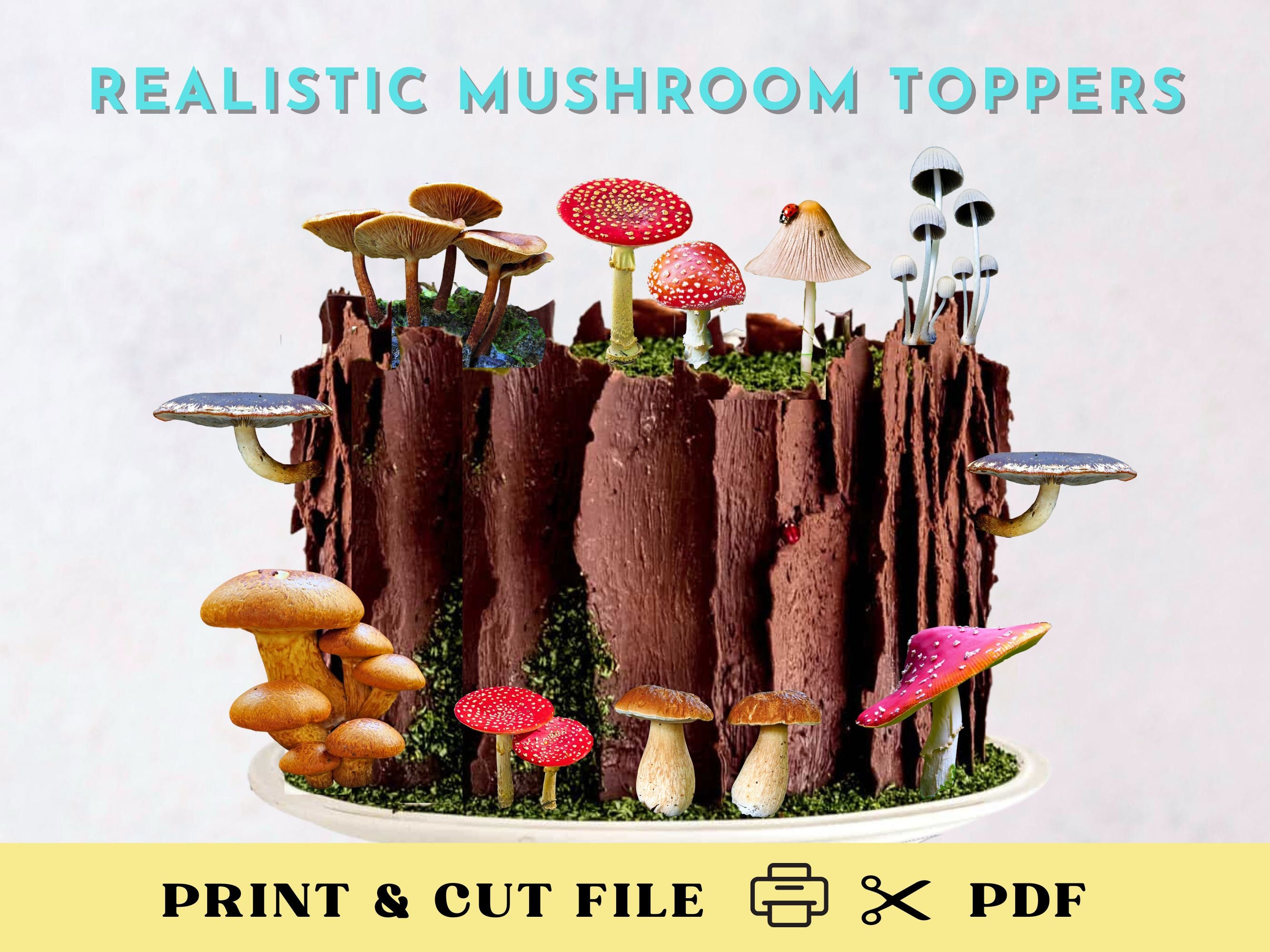 Realistic Mushroom Cake Toppers Woodland Themed Birthday Party | Rustic ...