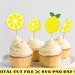 MEGA BUNDLE Lemon Fruit Theme Garland, Lemon Cupcake Topper, Pink ...