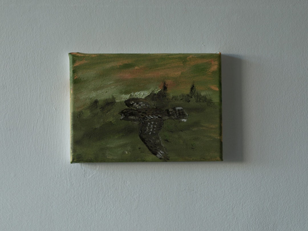 Nightjar No 1, Original Oil Painting - Etsy