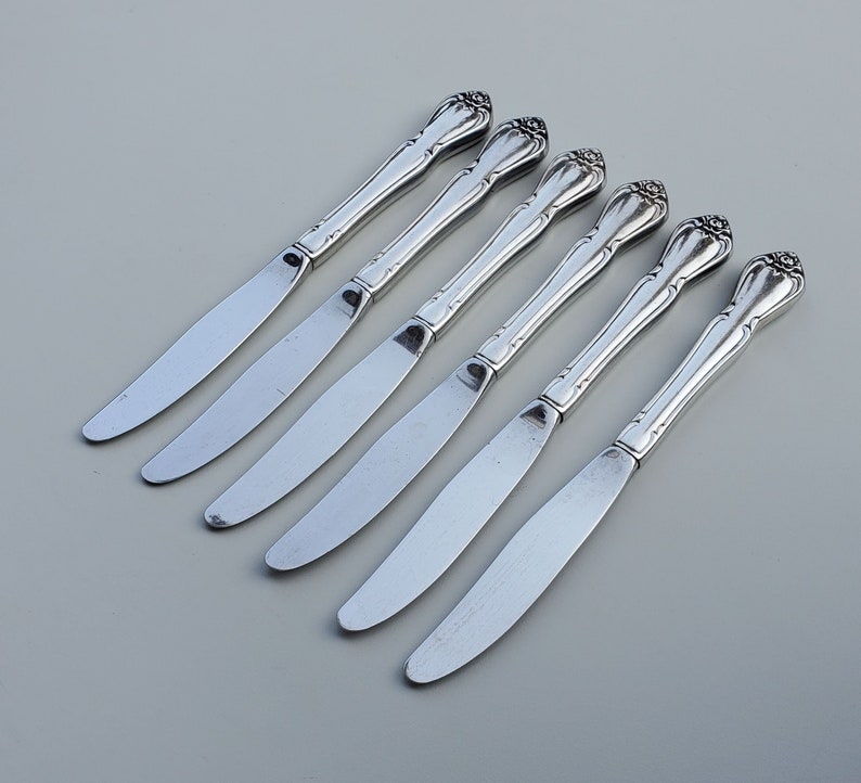 Oneida Ltd 1881 Wm Rogers Stainless Arbor Rose Pattern - Set of 6 ...