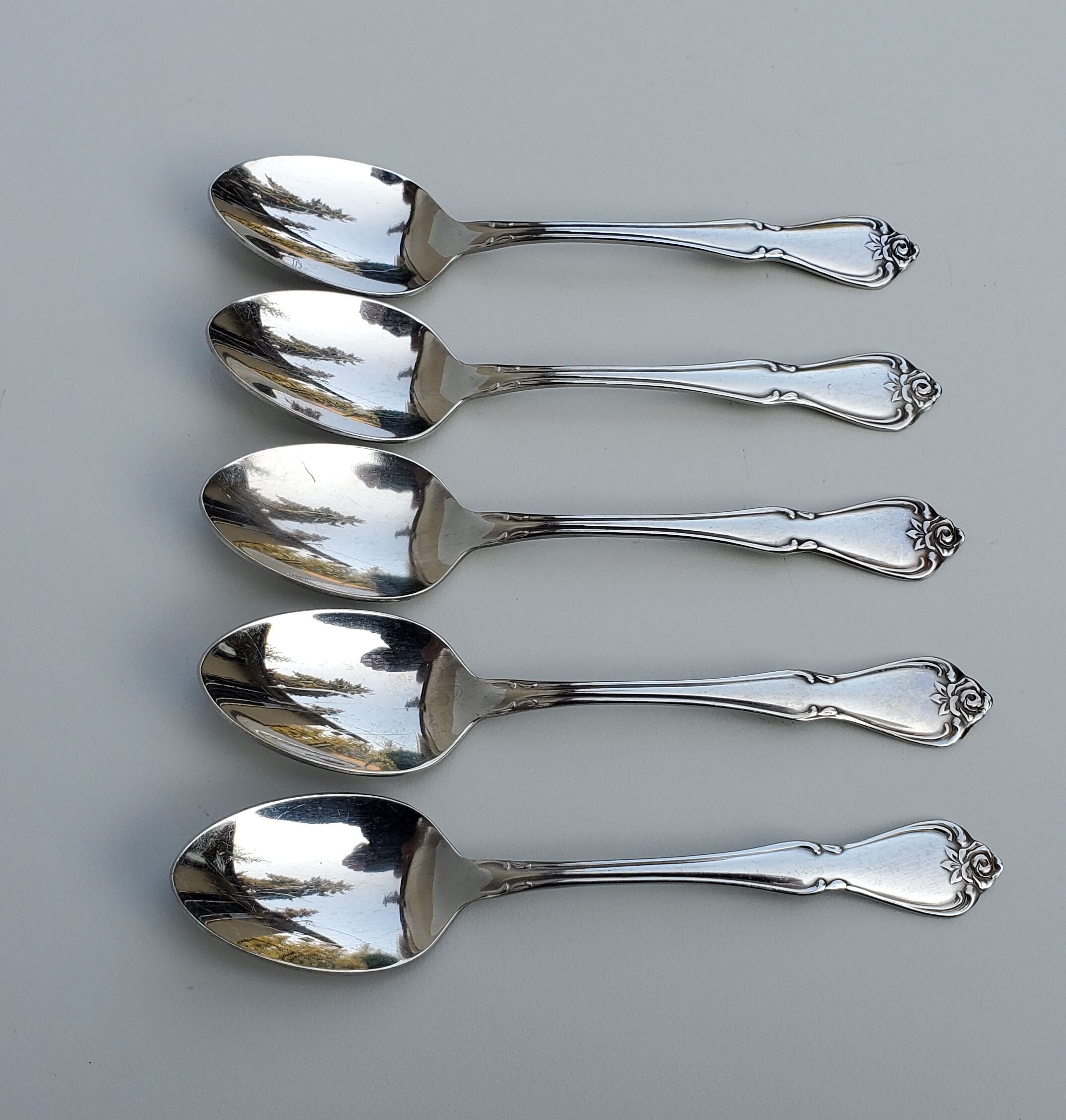Oneida 1881 Wm Rogers Arbor Rose Pattern Stainless Set of 8 Teaspoons ...