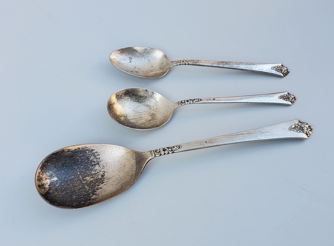 Royal Crest Sterling Castle Rose Pattern - Set of 3 Pieces - 1 Large ...