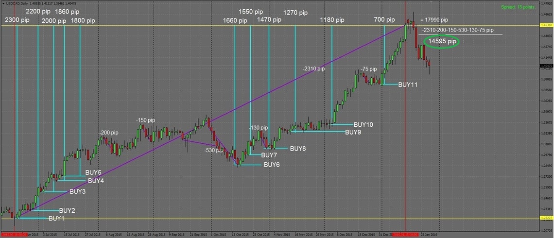 Forex Trading System / Detailed Strategy / FREE Indicator - Etsy