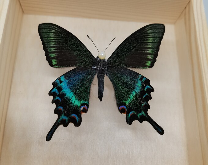 StephenieChalet - Etsy UK