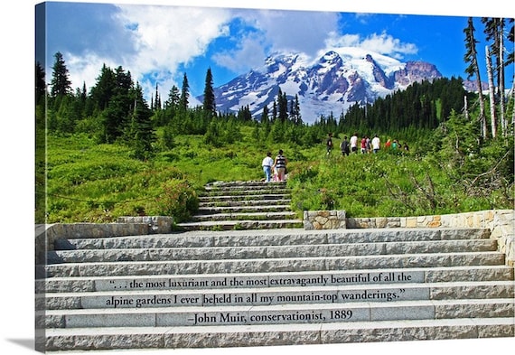 Jackson Visitor Center Mount Rainier