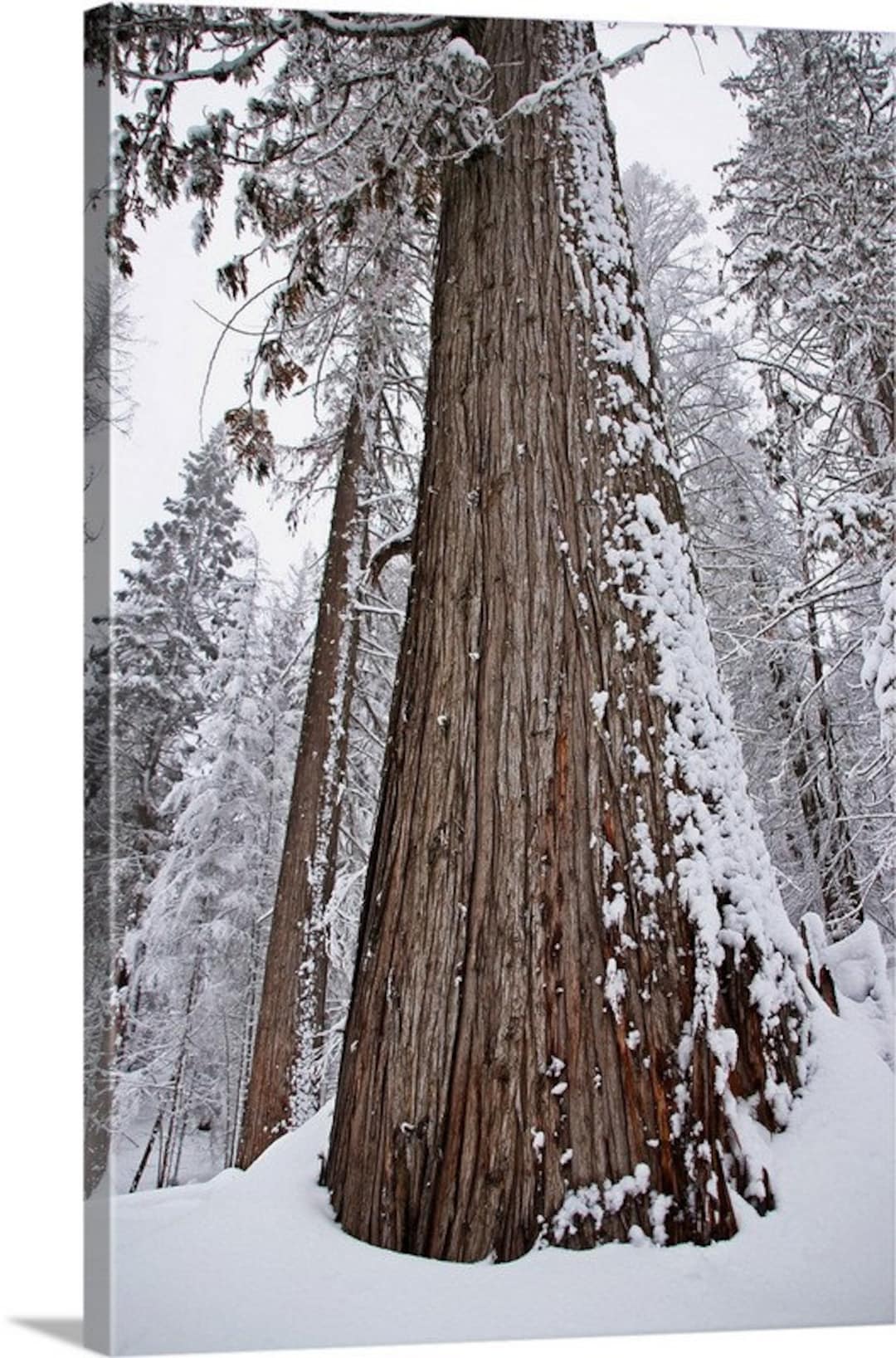 PNW, Northwest, Washington, Usk, Colville National Forest, Selkirk ...