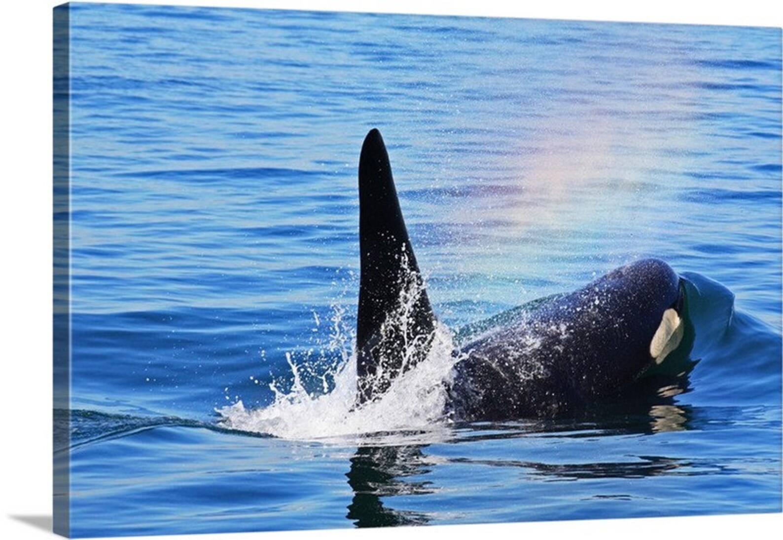 Canada, PNW, Northwest, Pacific Ocean, San Juans, Straits of Juan De ...