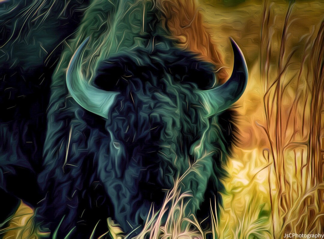 Bison Stare - Etsy