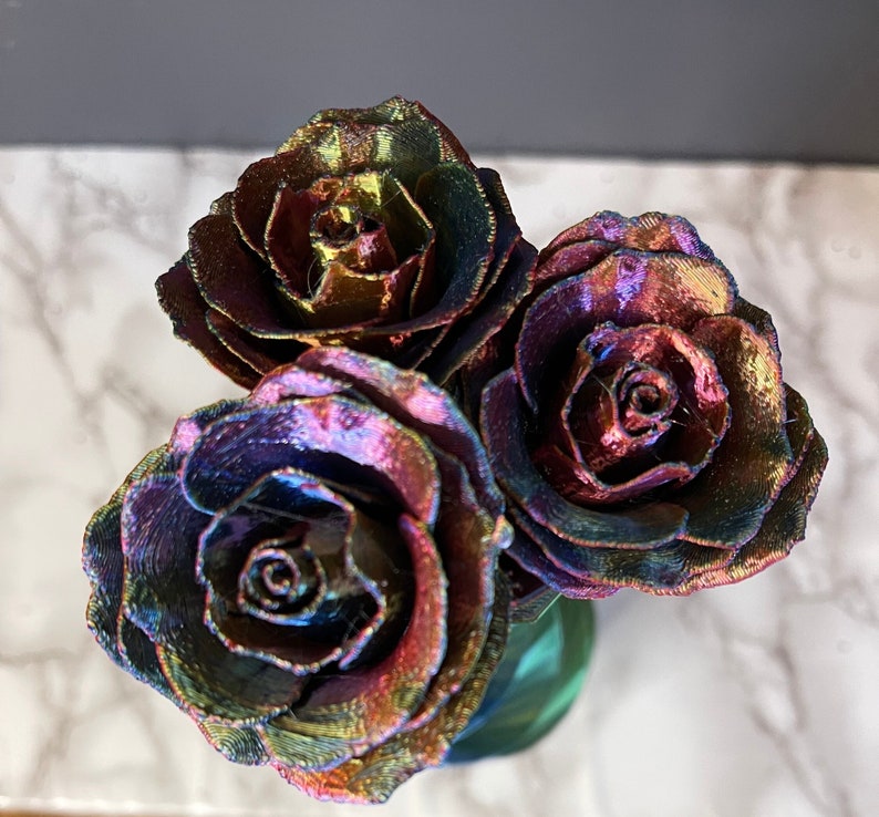 Color Changing Roses - Etsy