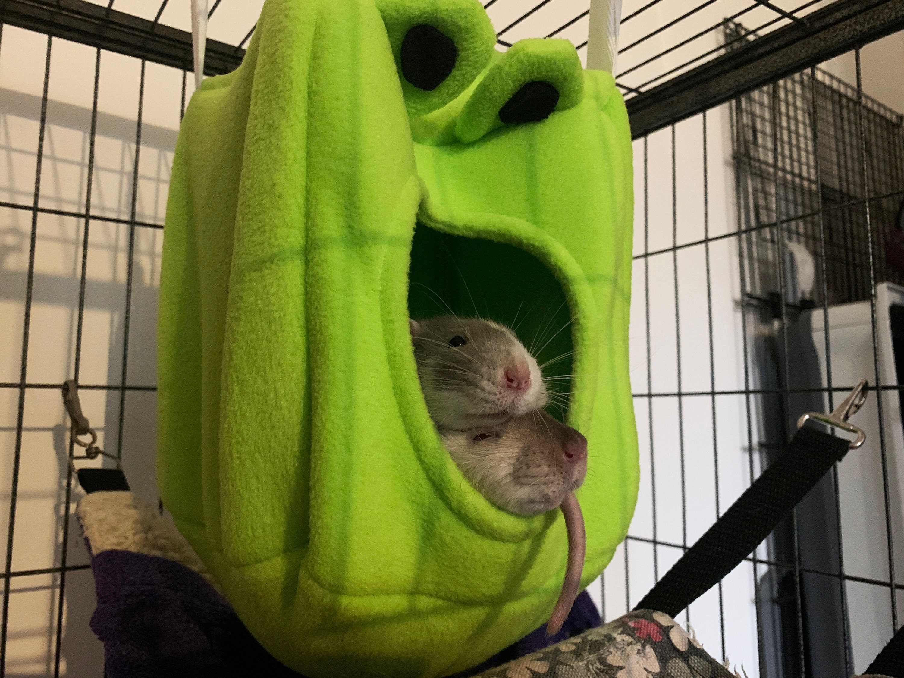 Rat Hammock Frog Cube With Metal Hooks Included Soft Fleece | Etsy