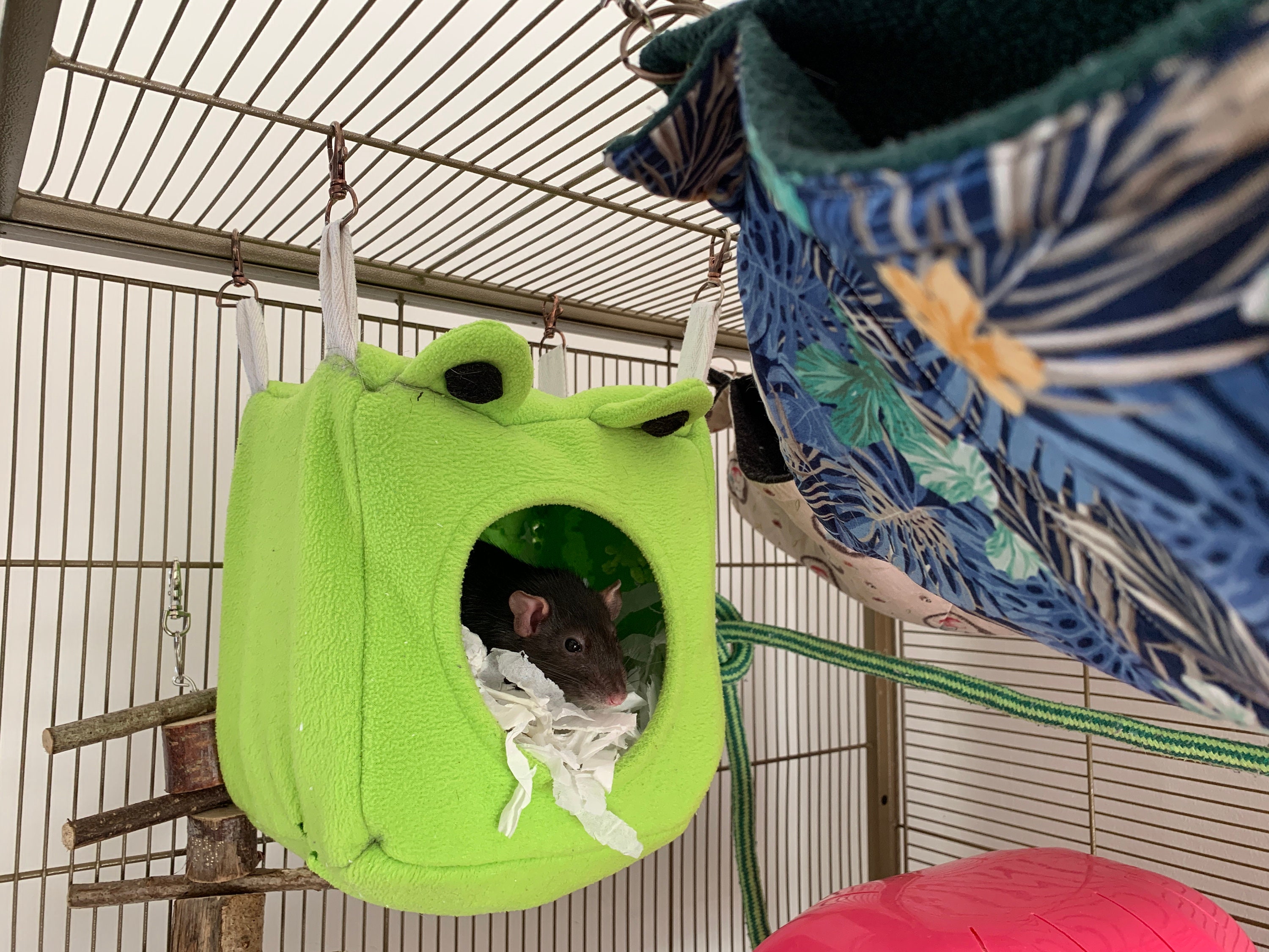 Rat Hammock Frog Cube With Metal Hooks Included Soft Fleece - Etsy UK