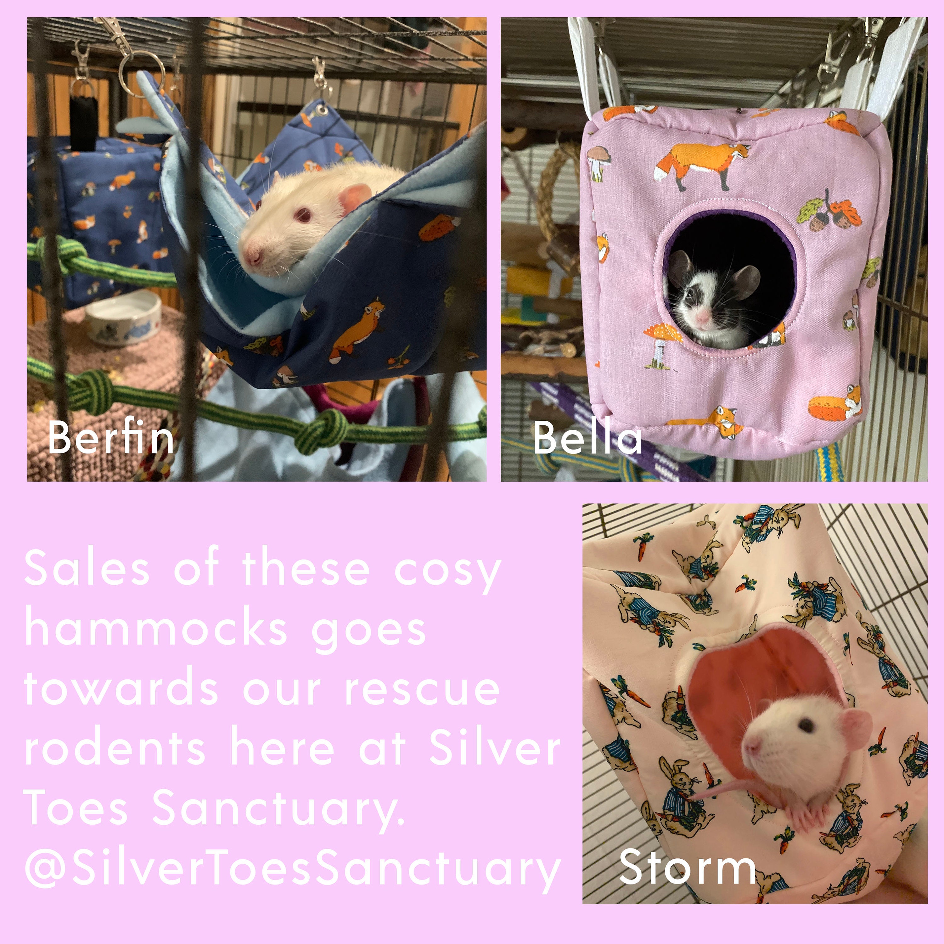 Rat Hammock Frog Cube With Metal Hooks Included Soft Fleece | Etsy