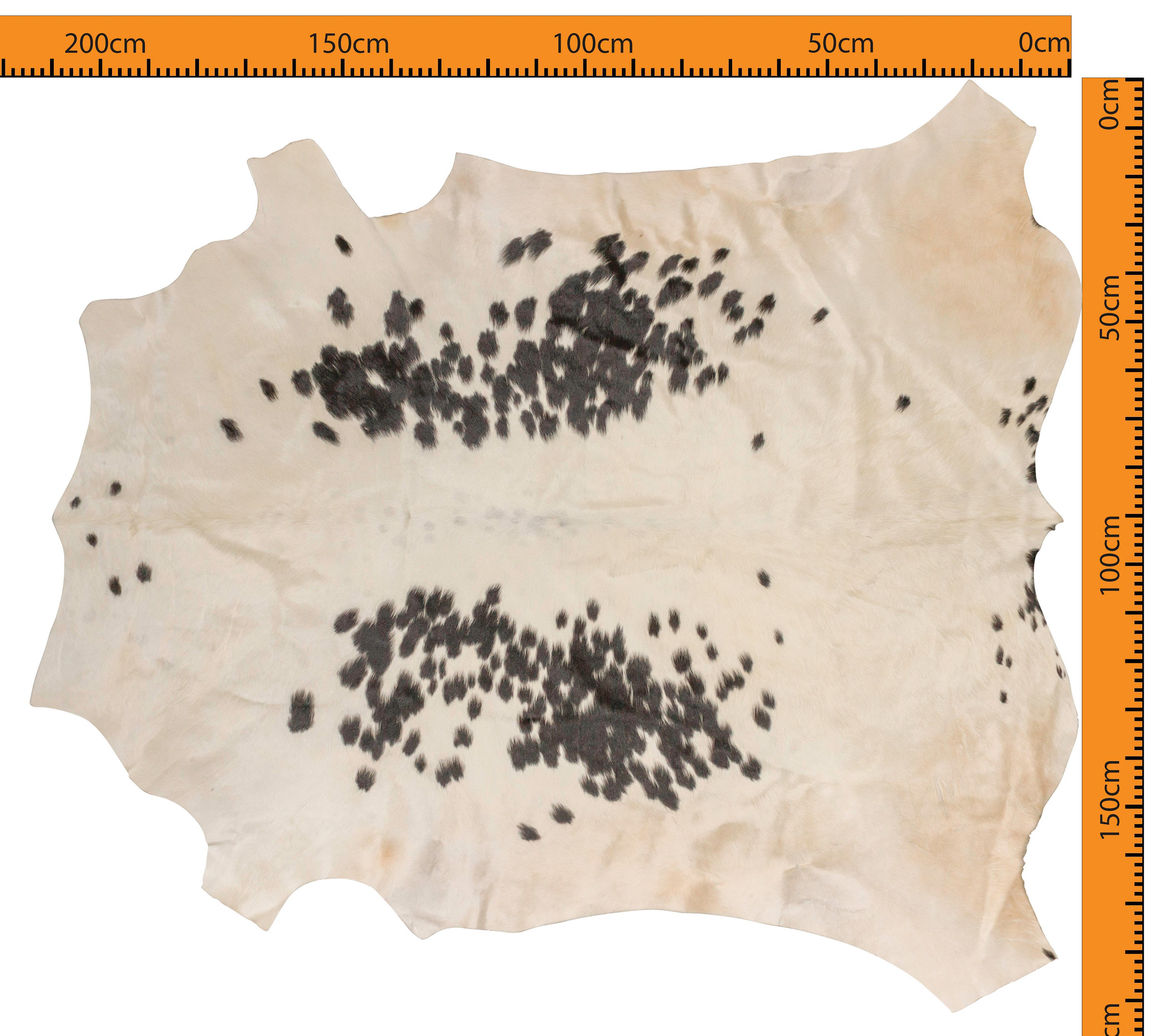 AA Superior Grade Nguni Cattle Hide Rug, White & Black - Etsy UK