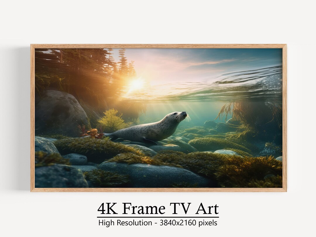 Samsung Frame TV Art 4K, Ocean TV Frame Art, Underwater Sealife Wall ...