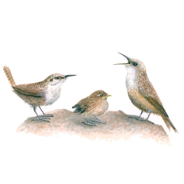 Wren Painting - Etsy