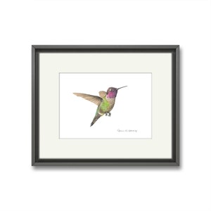 Anna's Hummingbird Watercolor Print - Etsy