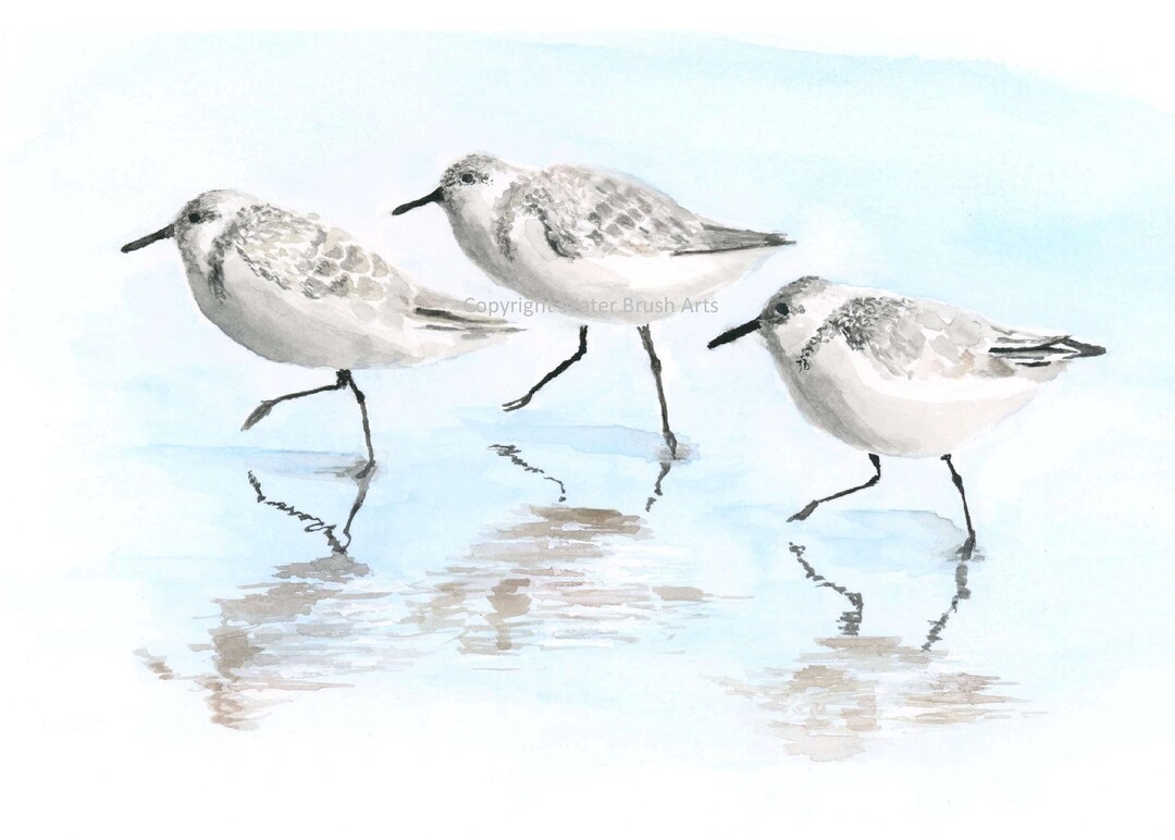 Shorebirds Original Watercolor Painting - Etsy