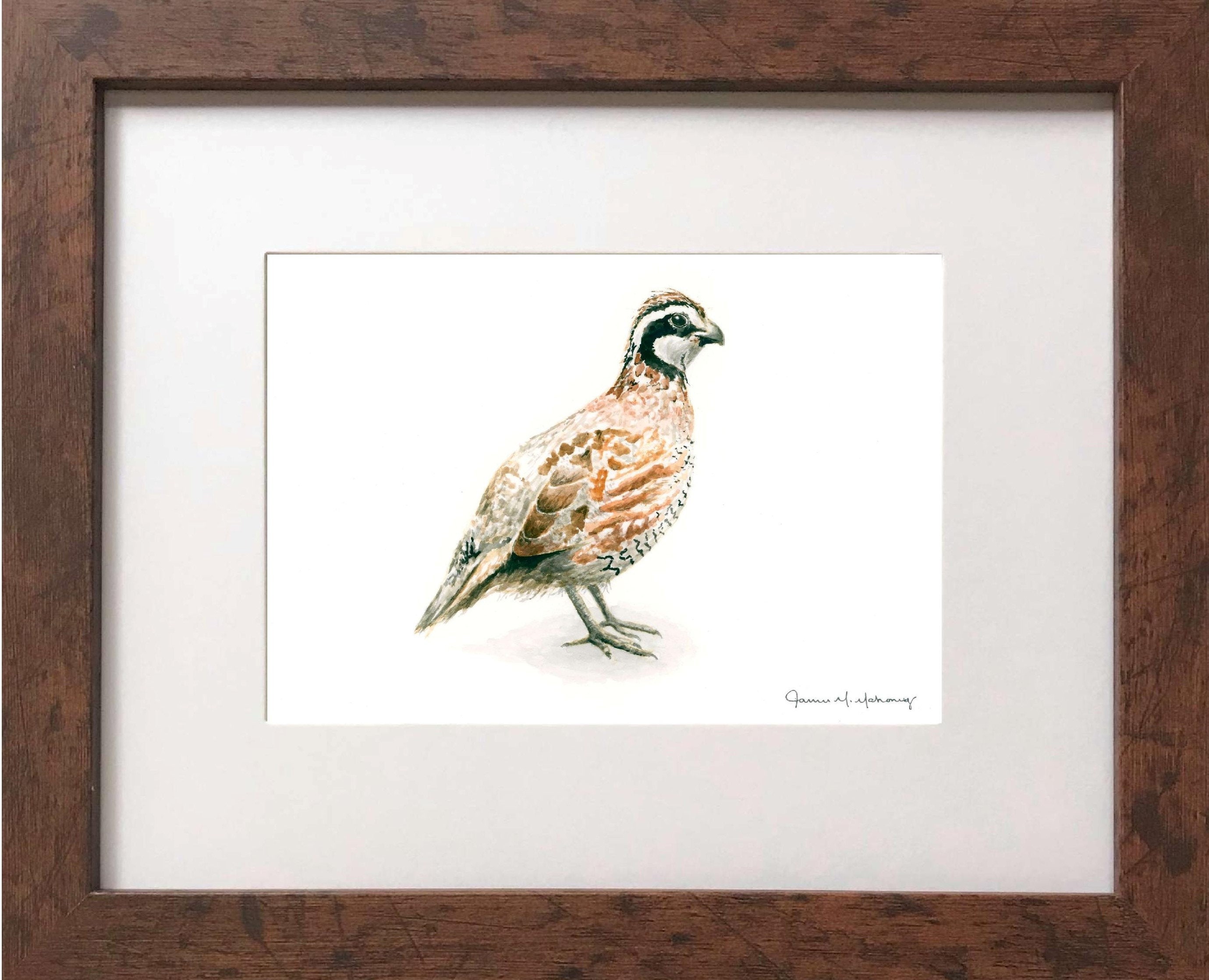 Bobwhite Original Watercolor Painting - Etsy