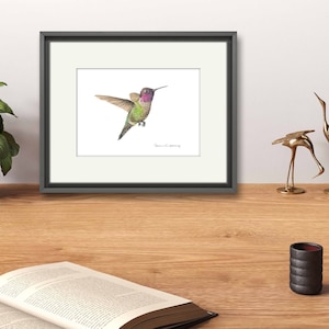 Anna's Hummingbird Watercolor Print - Etsy