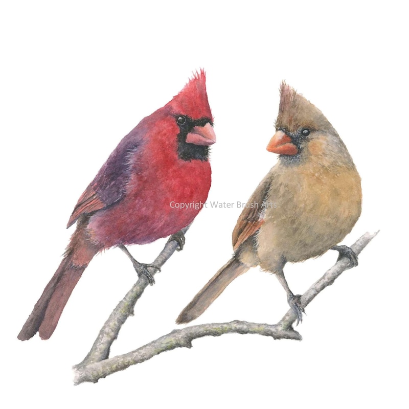 Cardinal Pair Gifts - 60+ Gift Ideas for 2026