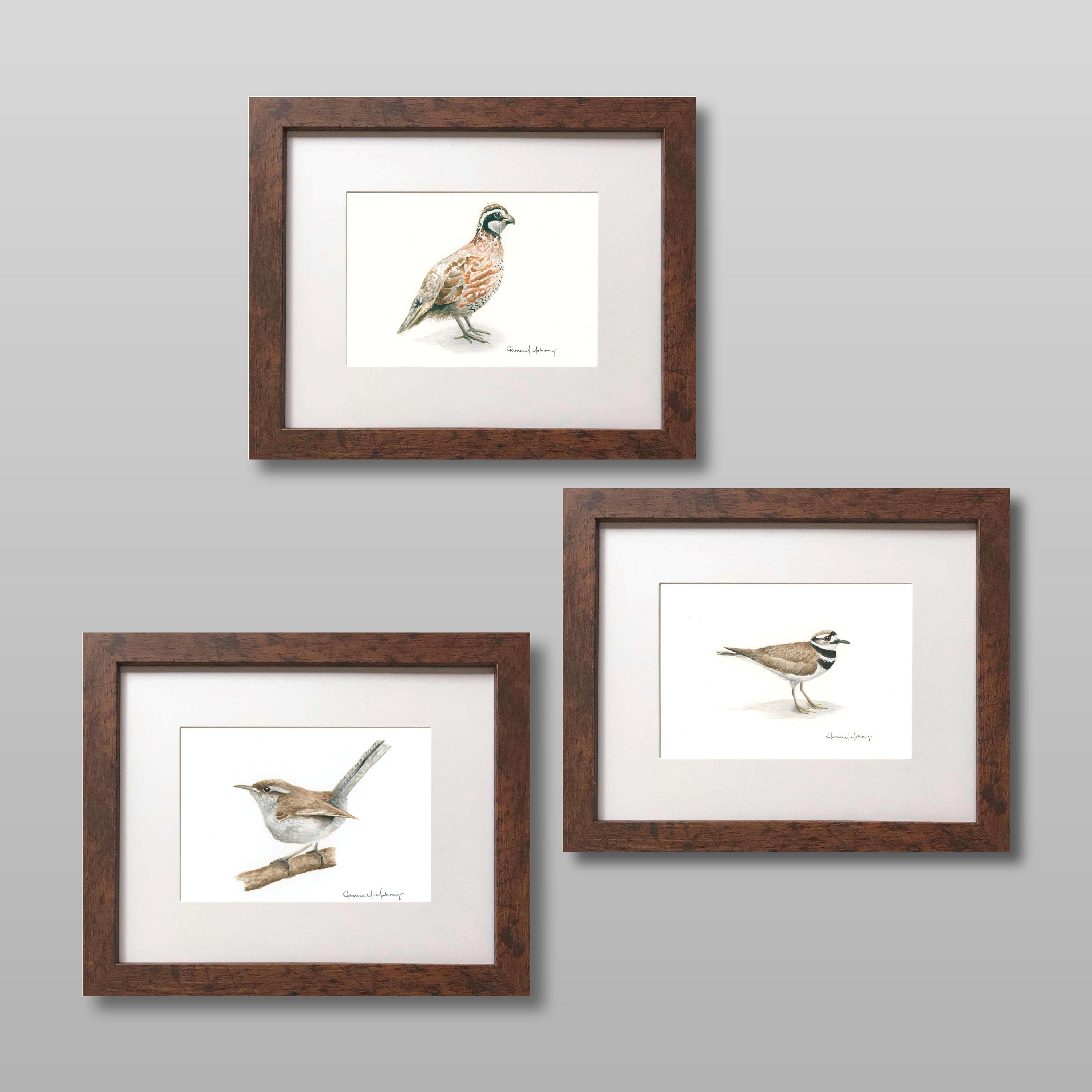 Bobwhite Original Watercolor Painting - Etsy