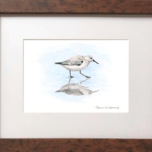Shorebird 001 Original Watercolor Painting - Etsy