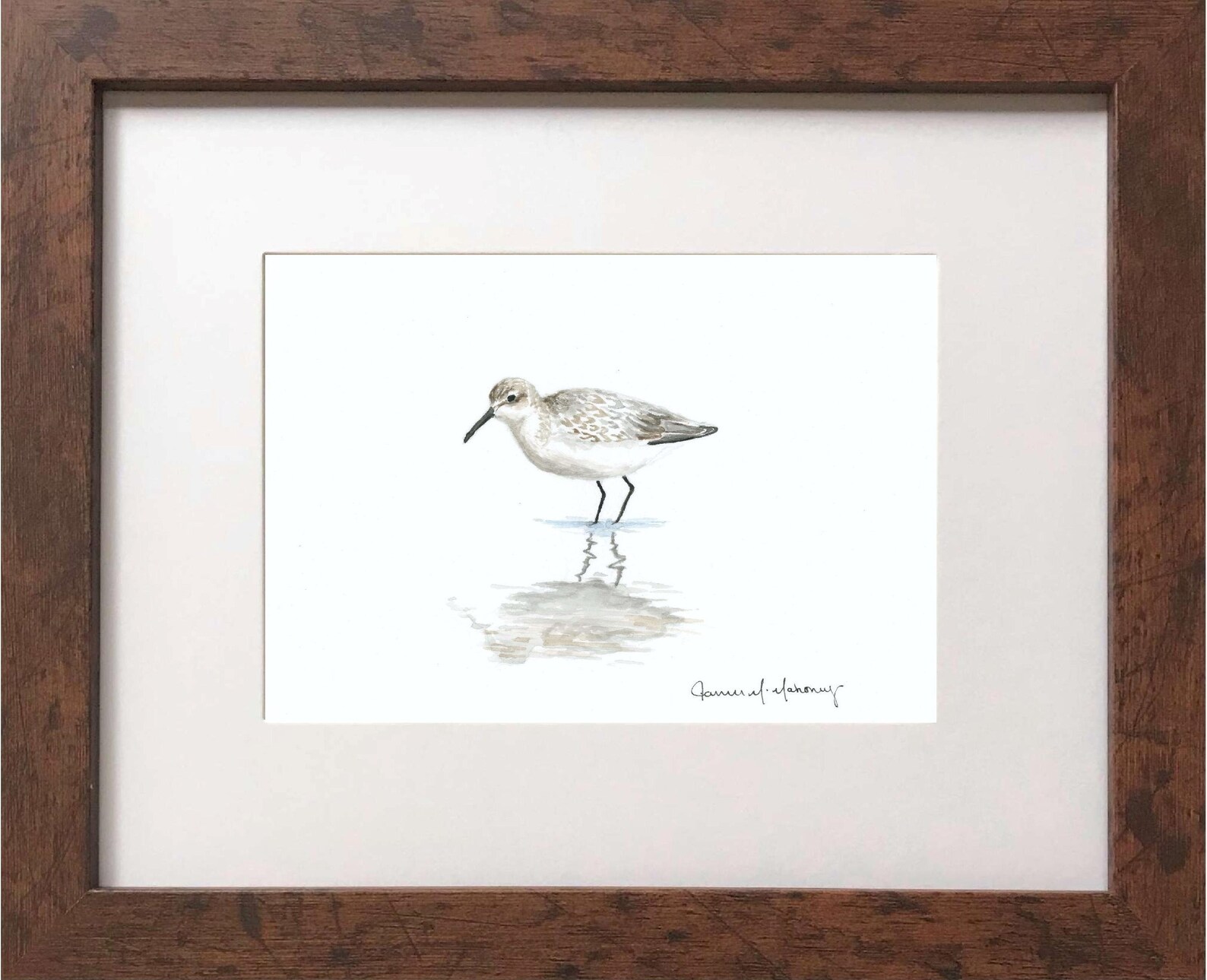 Shorebird 002 Original Watercolor Painting | Etsy