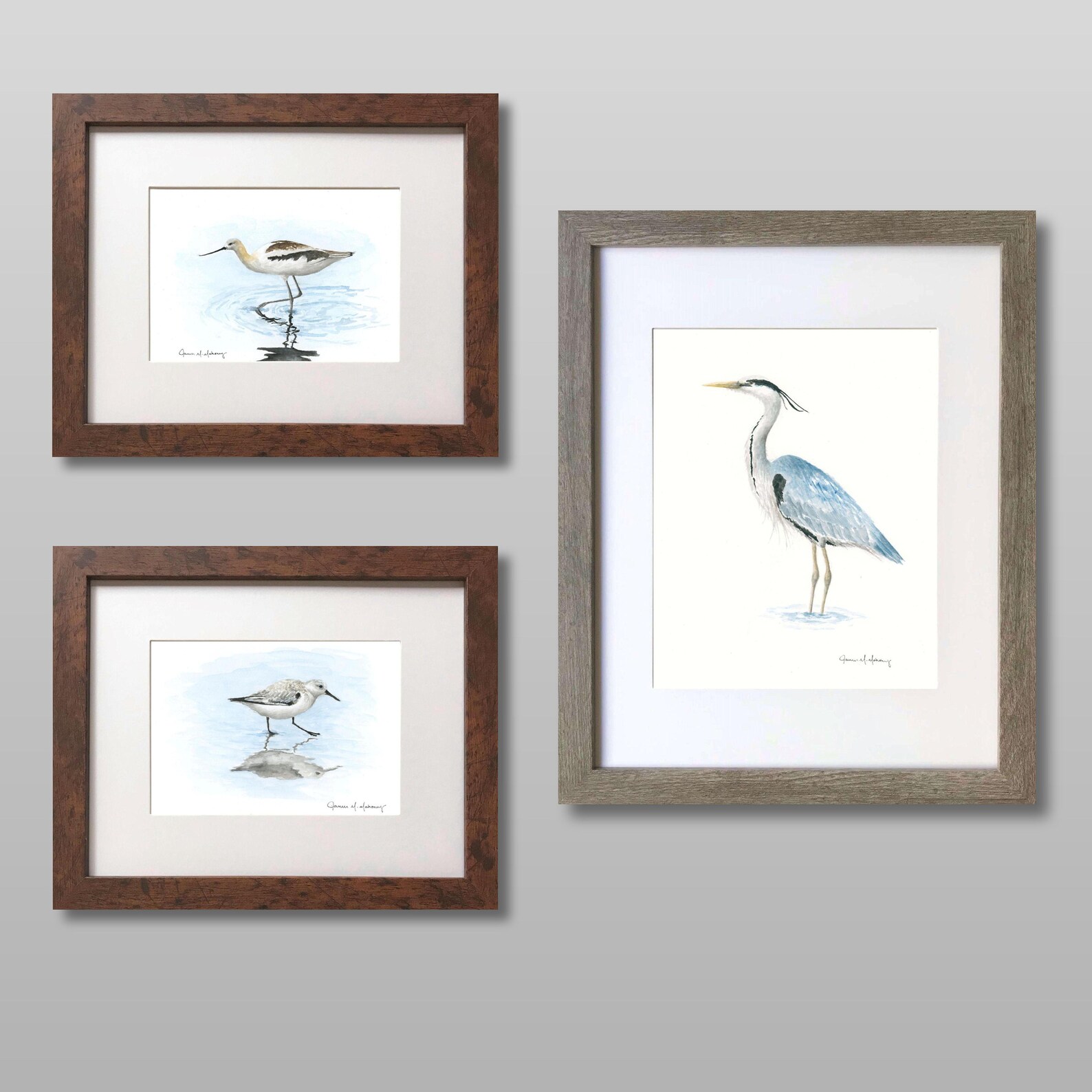 Shorebird 001 Original Watercolor Painting - Etsy