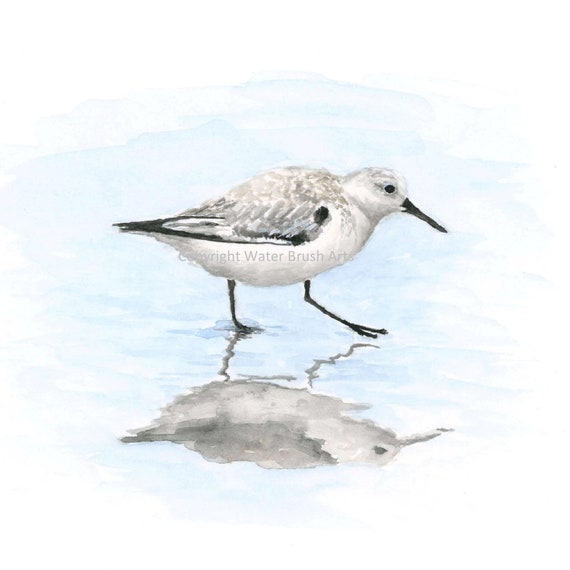 Shorebird 001 Original Watercolor Painting - Etsy