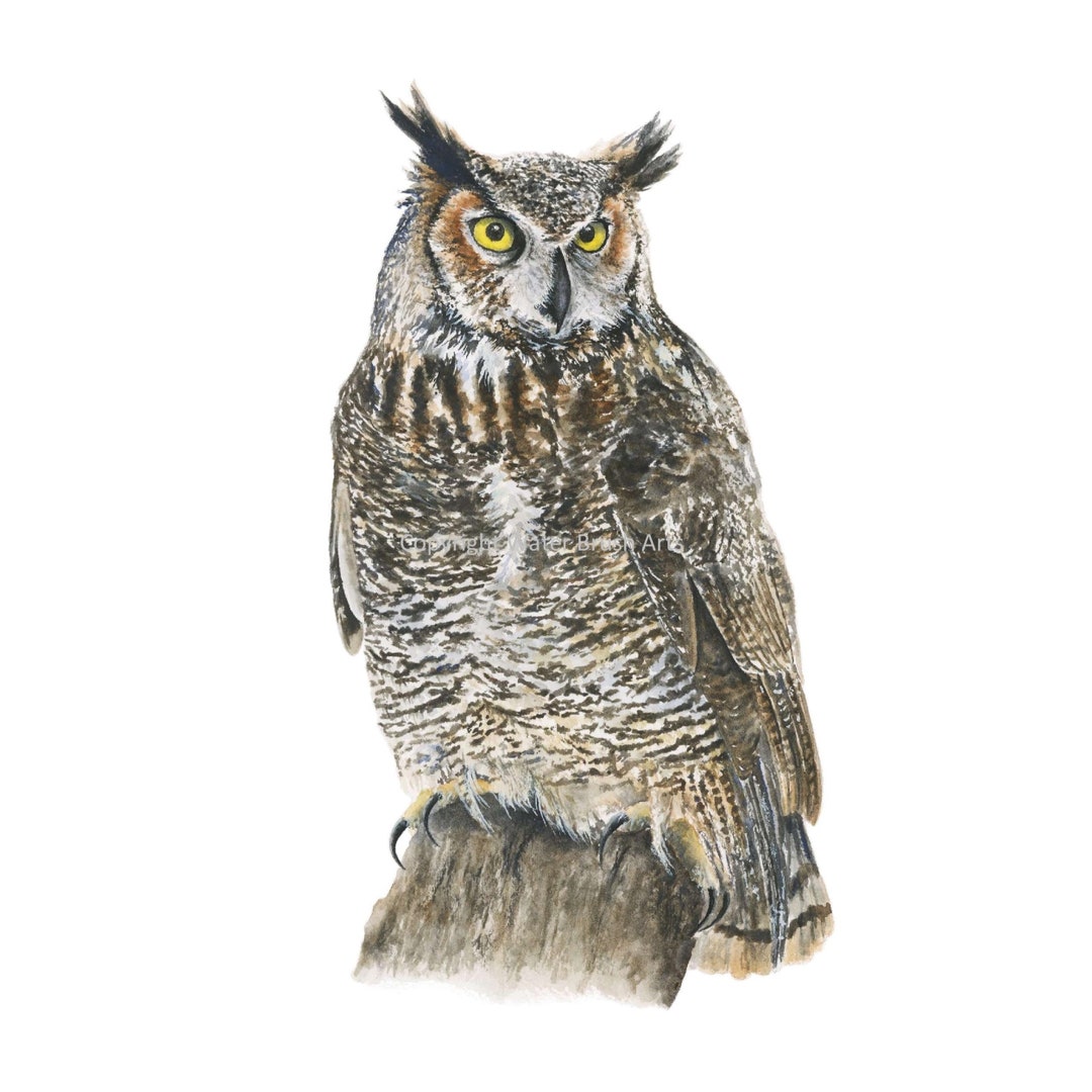 Great Horned Owl Watercolor Print - Etsy