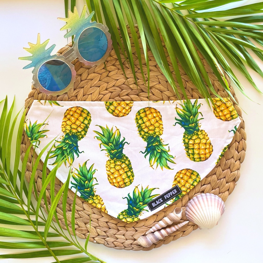 Pineapple Piña Colada Pina Colada Tie up Pet Dog and Puppy - Etsy